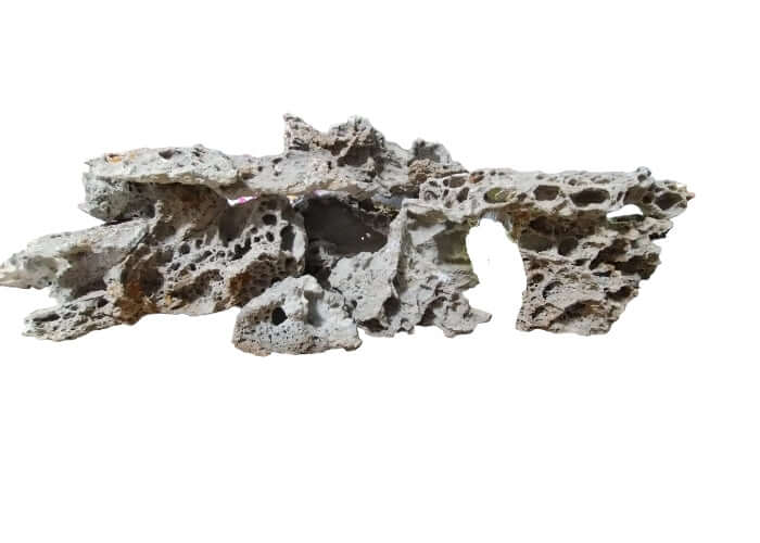 Lace Reef Rock Displays for your Aquarium – Limestone Holey Rock