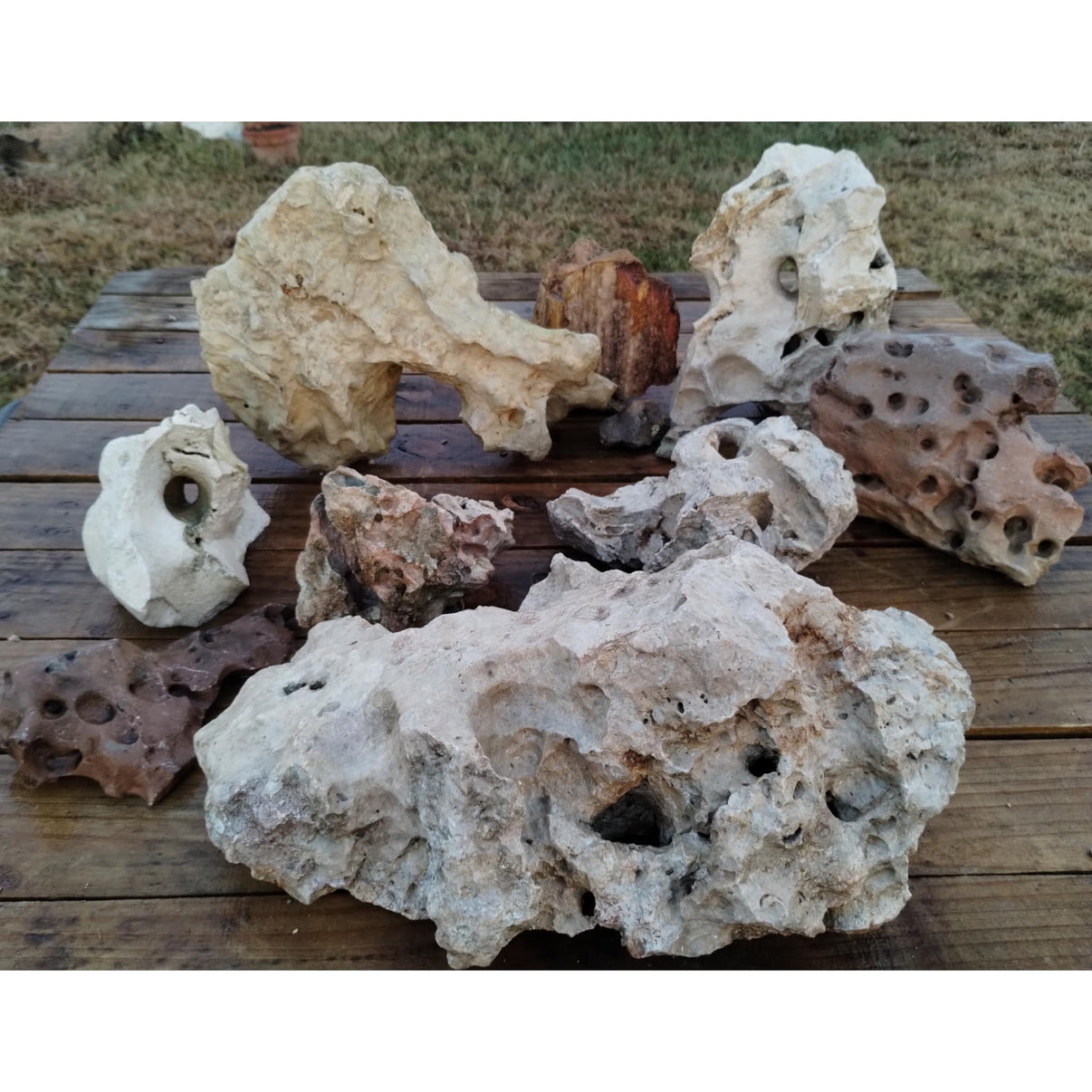 Texas Holey Rock 100 lb. Hardscaping Kit for Large Aquariums ...